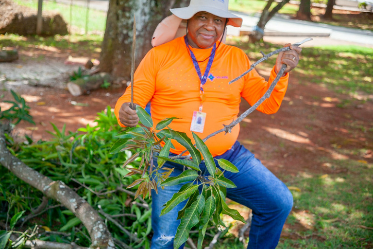 Rhamb: “mais do que uma horta urbana ou um horto, é política pública ...