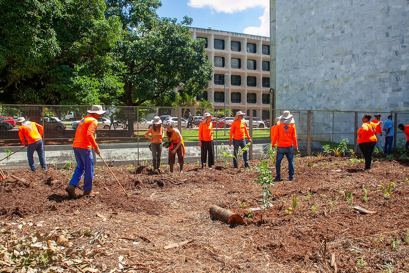 Rhamb: “mais do que uma horta urbana ou um horto, é política pública ...