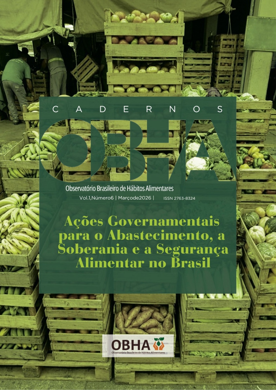 Nova edição do Cadernos OBHA destaca ações e experiências para ...